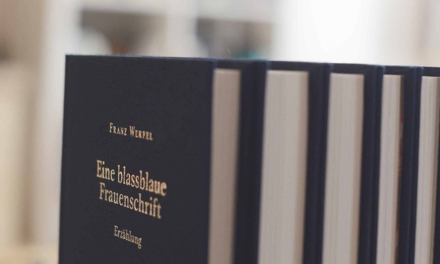 www.input-verlag.de – Wiederentdeckte und neu aufgelegte europäische Bücher
